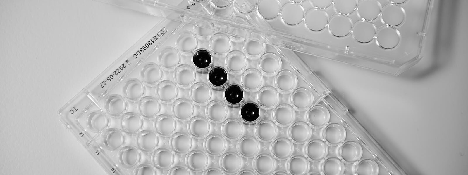 Leading Preclinical Studies | VirTus Preclinical Research Services