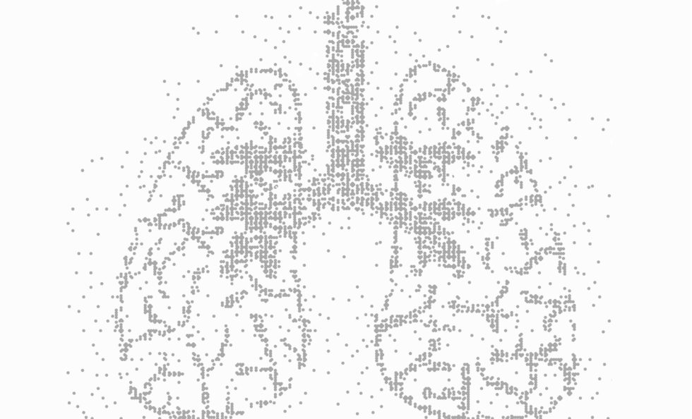 Human Rhinovirus Preclinical Models and Viral Challenge Studies in ...